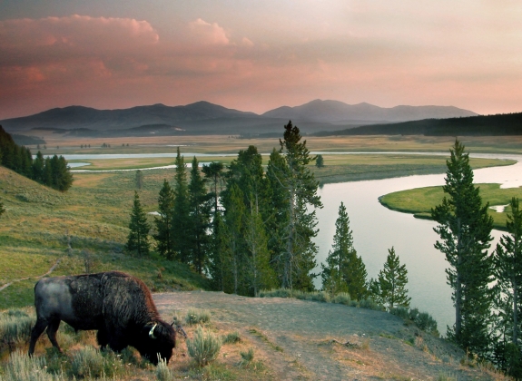 New York City, NY by Rail | Amtrak Vacations®