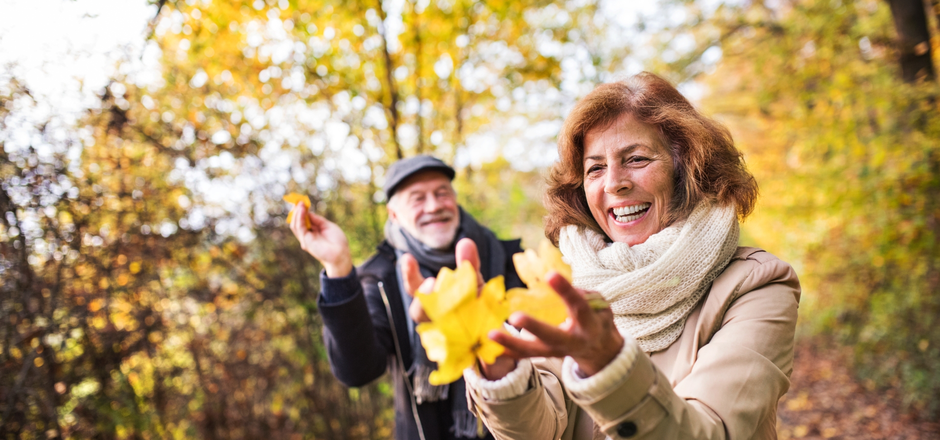 Fall Foliage Train Trips | Scenic Autumn Rail Journeys | Amtrak Vacations®