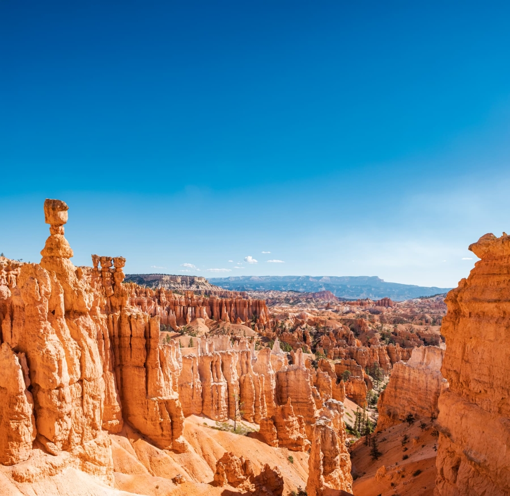 Plan Your Amtrak Trip | Amtrak Vacations®